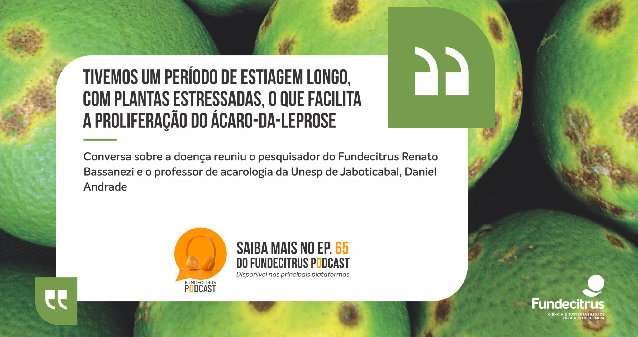 Fundecitrus Podcast fala sobre os desafios no controle do ácaro-da ...